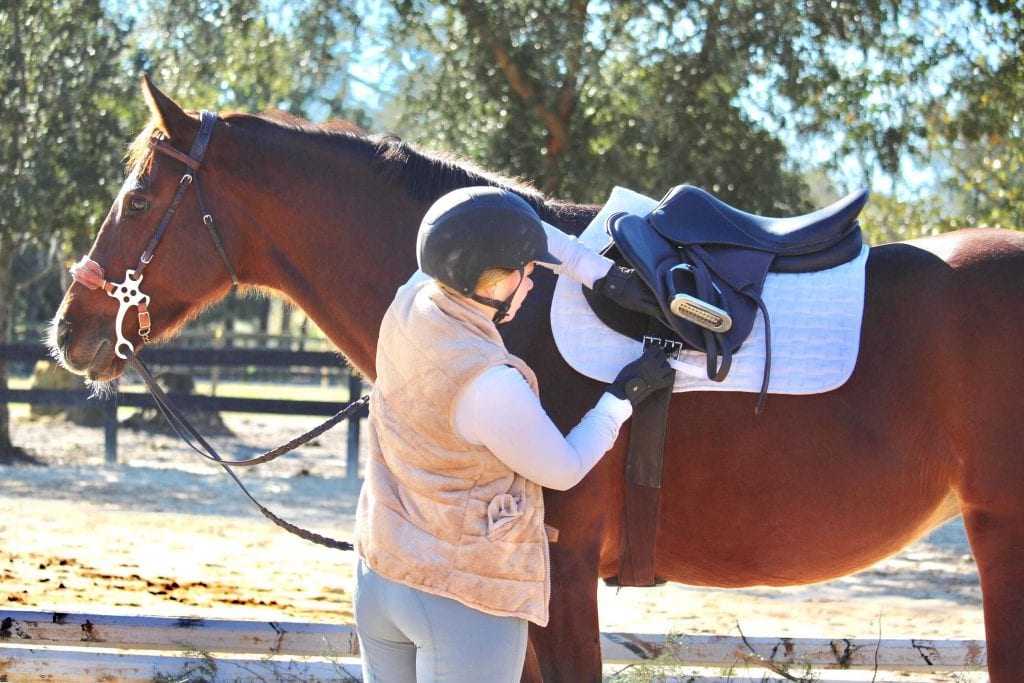Sabrina Riehl: Equestrian Blogger - Top Line Media Team